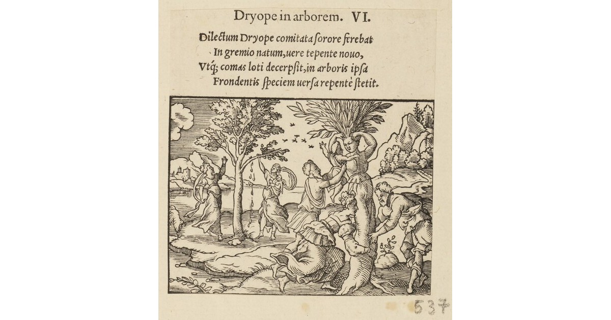 Dryope changée en arbre, ANONYME 16ème siècle - Portail officiel des ...