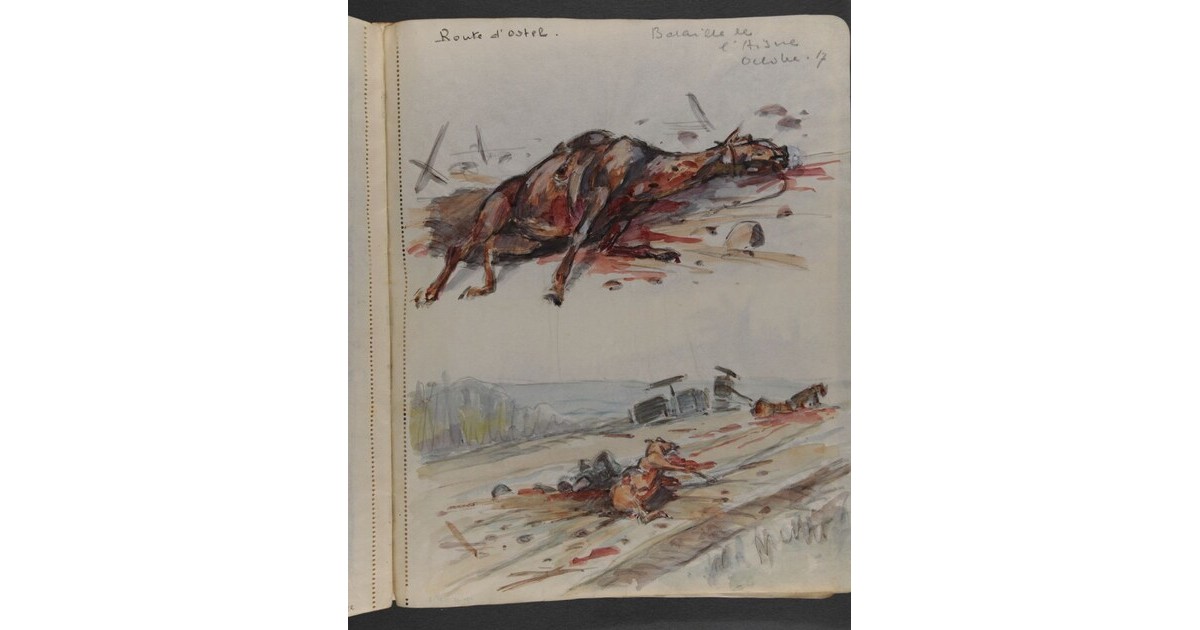 Cadavre de cheval et attelage renversé, HAMMAN - Portail officiel des ...